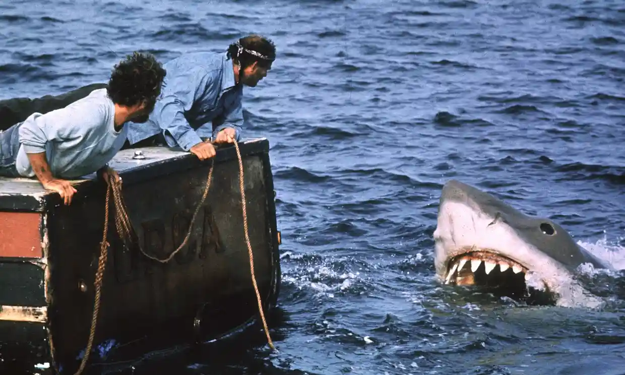 Prince Hussain Aga Khan and Sharks – the Prince’s Favourite Species ...
