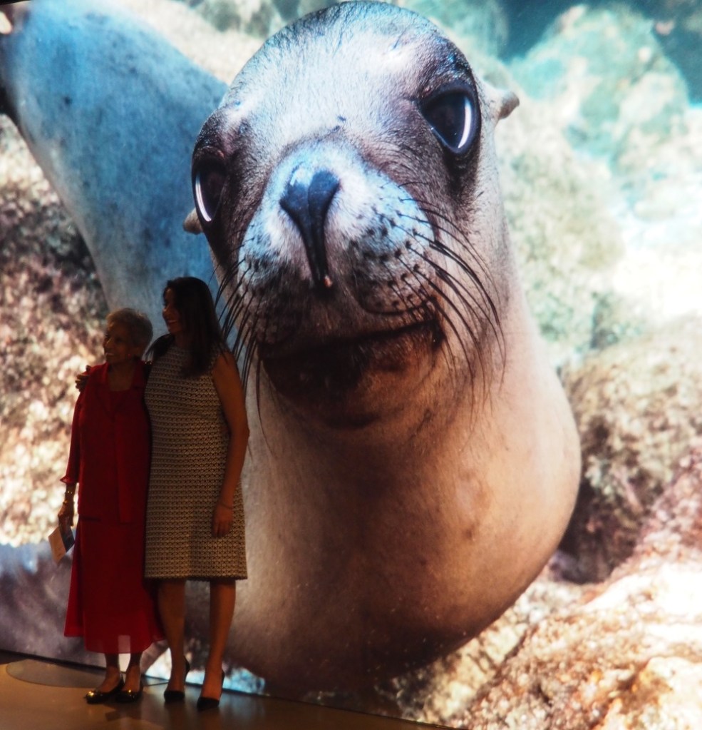 Prince Hussain Aga Khan and his wife Princess Fareen conclude visit to ...