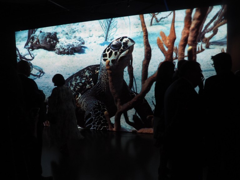 Prince Hussain Aga Khan and his wife Princess Fareen conclude visit to ...