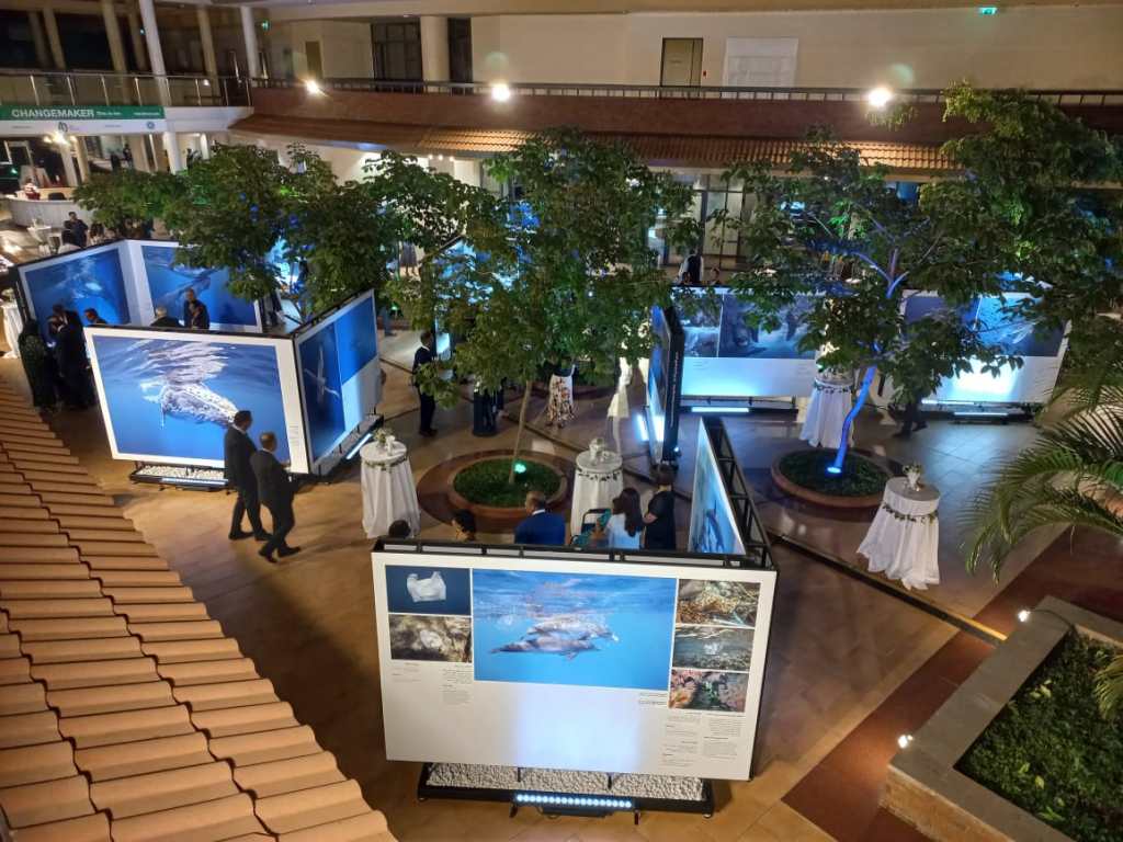 Glimpses from Prince Hussain Aga Khan’s Photography Exhibition in Kenya ...